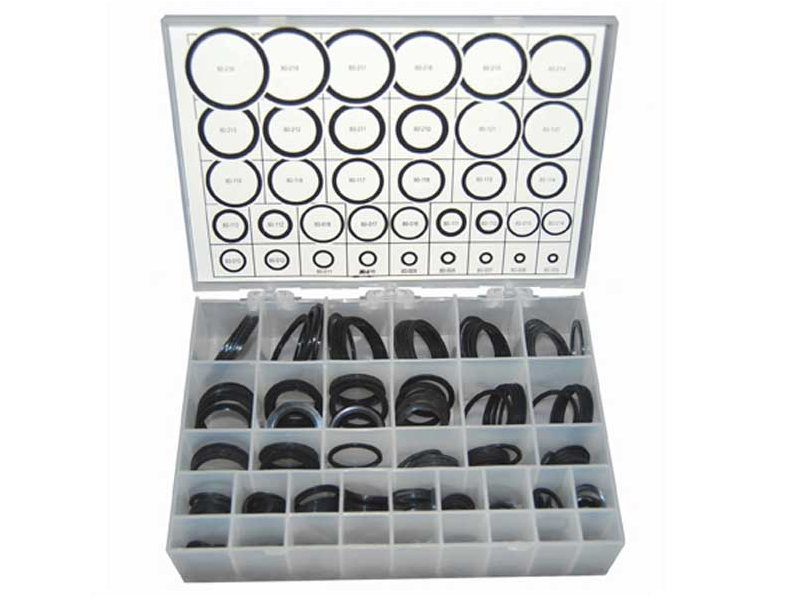 www.hoseshop.com: Back-Up Ring Kit