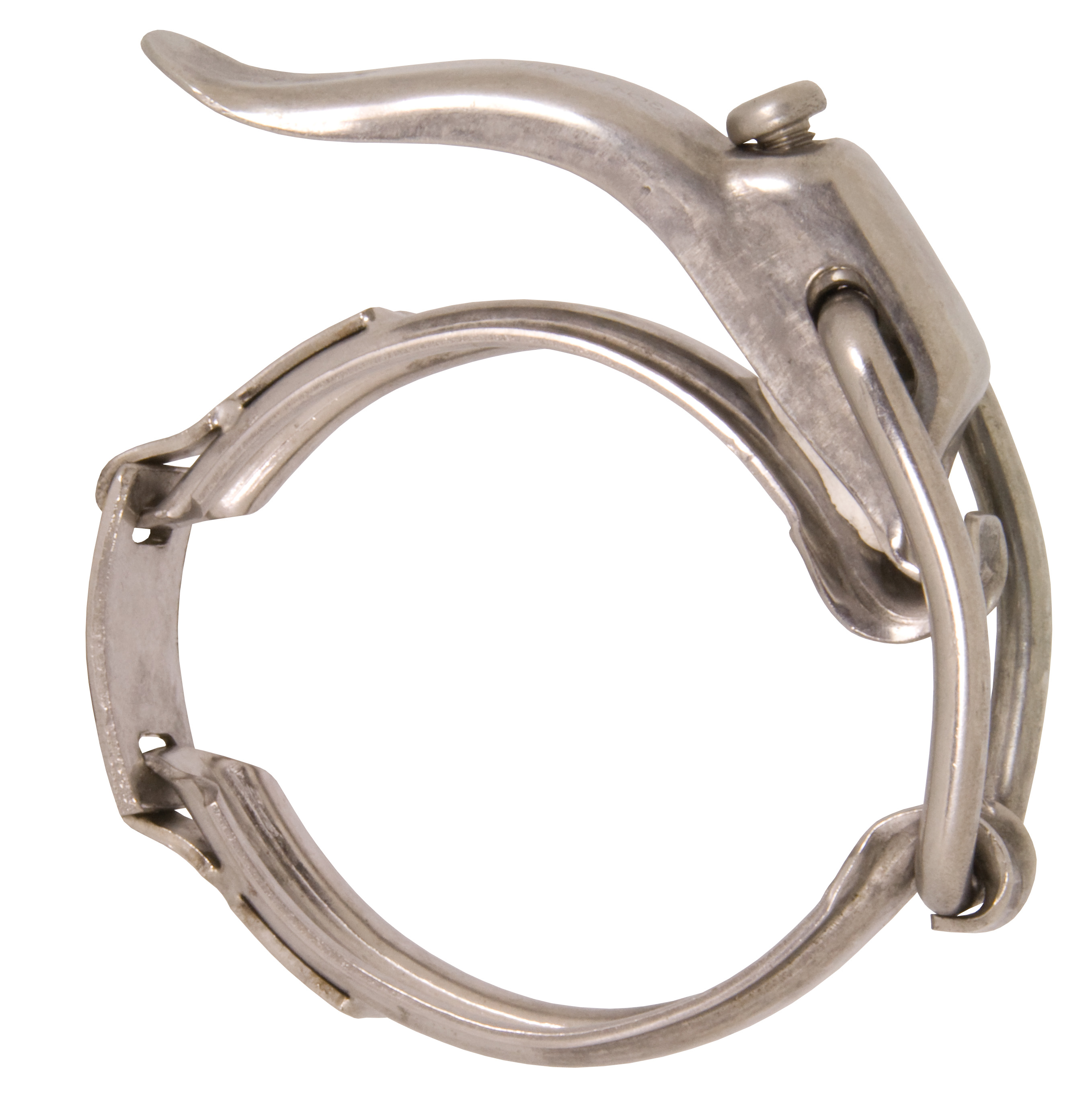 www.hoseshop.com: 2.5" Toggle Sanitary Clamp - 304S